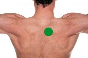 Bodi Empowerment - Dr Ken Nakamura Downtown Toronto Chiropractor : Dr ...