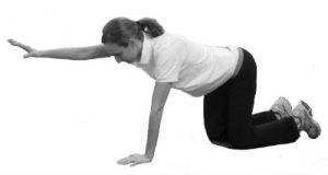 The Big 5: Easy Exercises For Stabilizing Your Low Back · Bodi Empowerment
