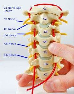 Treatments for Cervical Radiculopathy: The Ultimate Guide